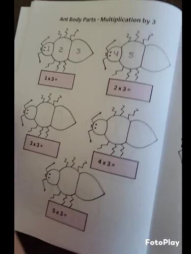 Multiplication and Division Math Worksheets 2nd &amp; 3rd grade Bundle