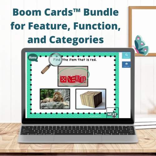 NO PREP Wh Questions for Features, Object Functions, and Categories Bundle