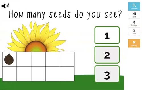 Sunflower Seed Ten Frame Subitizing BOOM Card Math Digital Task Cards