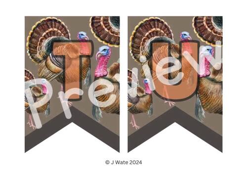 Fact File Research PROJECT Wild Turkey Booklet Worksheet Activity Pack