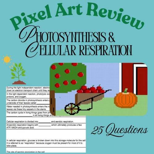 Photosynthesis and Cellular Respiration Biology Pixel Art Review