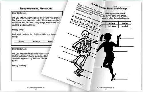 Living Things STEM Unit Grades 1-2 by Chalkboard Publishing | TPT