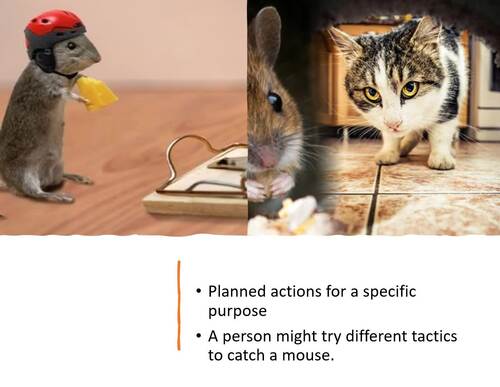 MyView Grade 5, Unit 3, Week 3 "The Carp" Vocabulary PowerPoint/PDF 5th ...