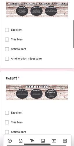 LES 7 HH: HABILETÉS D'APPRENTISSAGE ET HABITUDES DE TRAVAIL | TPT