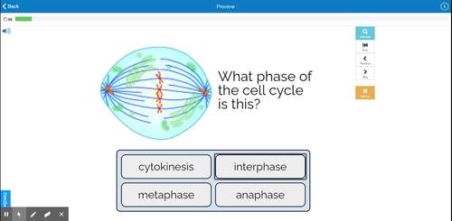 Mitosis Boom Cards for Middle School Science by JayZee | TPT