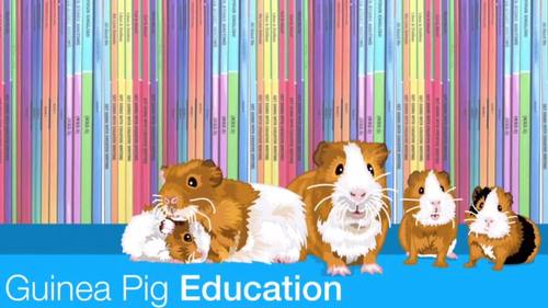 Make Sentences With The Sentence Maker: Book 1 (4-7 years) | TpT