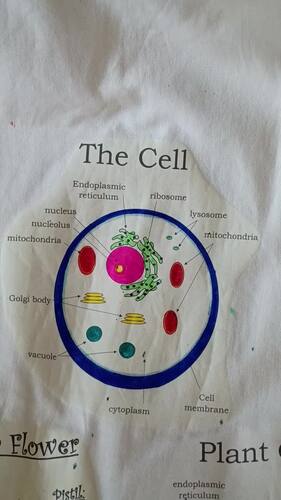 The Cell Iron-on Image Organelles 9th 10th Homeschool High School Biology