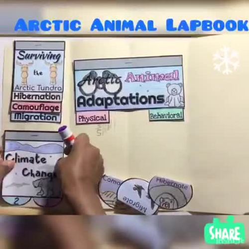 Arctic Animals Lapbook | Science | Winter | Polar Animals | January