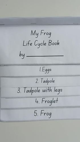 Frog Life Cycle Flip Book by Greenworld Learning | TPT