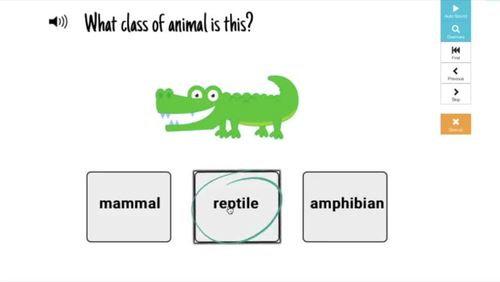 Animal Interactive Boom Cards by The Autism Helper | TPT