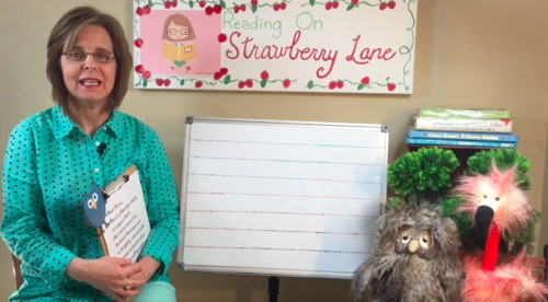 VIDEO: Reading: Set 1. Lesson 45. Word Family Pattern -ish | TPT