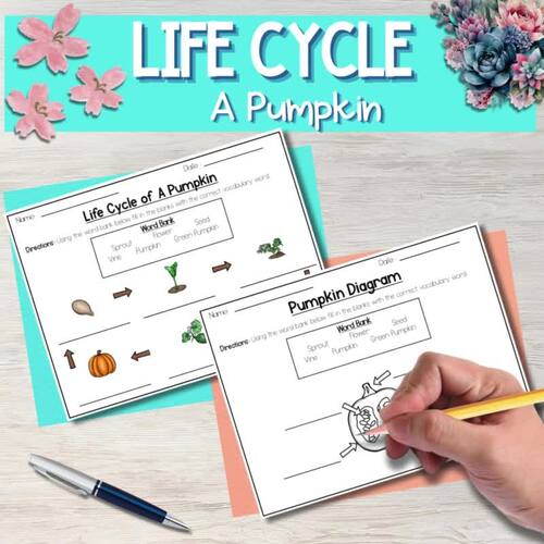 Life Cycle Of A Pumpkin- Sequencing and Labeling Worksheets | TPT