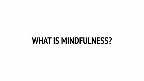 What is Mindfulness? MP4 movie by The Common Core and More | TPT