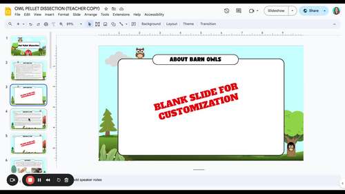 Digital Owl Pellet Dissection by It's Teacher Bliss | TPT