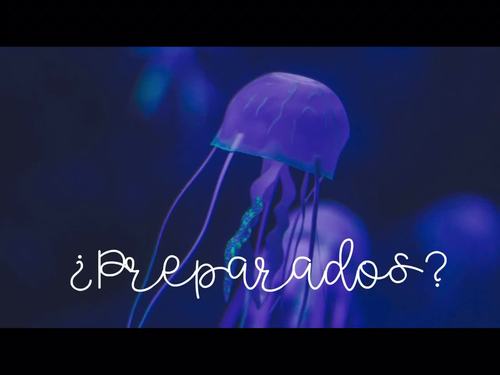 Viaje al Aquarium | Virtual Field Trip Ocean in Spanish by Ms Herraiz