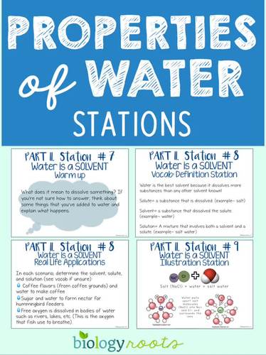 Properties of Water Stations by Biology Roots | TPT