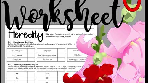 Genetics and Heredity Worksheet with Differentiation for Assessment or ...