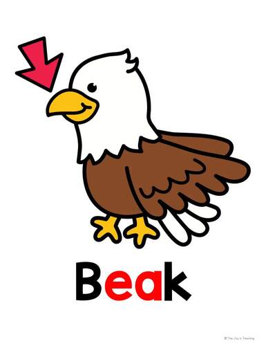 Long Vowel E Posters - Long Vowel E Phonic Slides by The Joy in Teaching