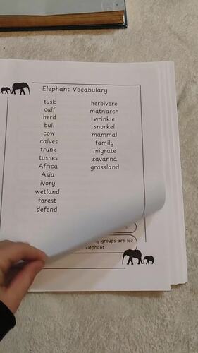 Elephant Unit Study | Elephant Science Worksheets, Life Cycle, Anatomy ...