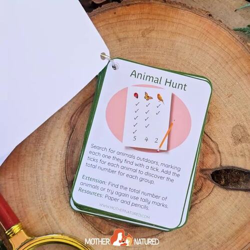 Outdoor Math Activities | Nature Math Activities | Montessori Math