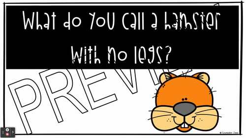 Hamsters Make Terrible Roommates Lesson on Respectful Communication