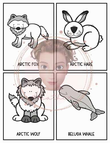 Step-by-Step Opinion Writing | Would You Rather | Arctic Animals