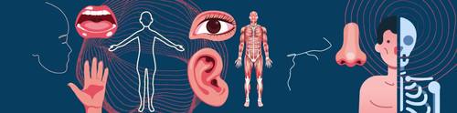 ANIMATED LIFE SCIENCE VIRTUAL BANNERS | BACK TO SCHOOL HEADERS GOOGLE ...