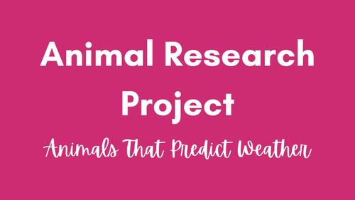 Animal Research Project by Tales of a Collaborative Class | TPT