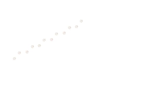 Therapy dog | Food for thought | Worksheet + mini poster by Lernfitness