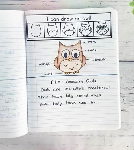 Directed Drawing Notebook Strips | 11 Themes | English & Spanish