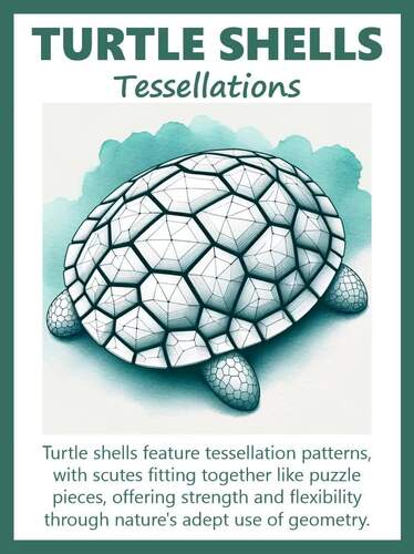 Math in Nature 10 Posters (Set A) | Math Classroom Decor + Bulletin ...