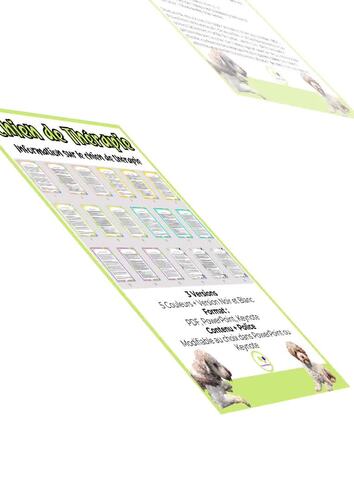 French: Therapy Dog | Chien de thérapie | Information pour conférence ...