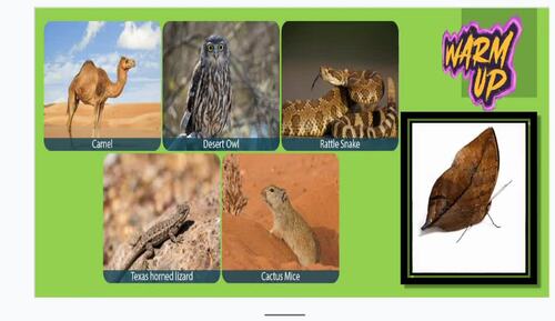 Wonders Grade 4 Unit 2 Animal Adaptations- Interactive PPT | TPT