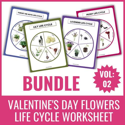 Valentine's Day Flowers Life Cycle Bundle: Lily, lavender, Forget-Me ...