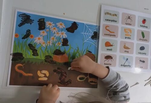 Learning Insects Dry Erase Activity for Toddlers Preschoolers Homeschooling