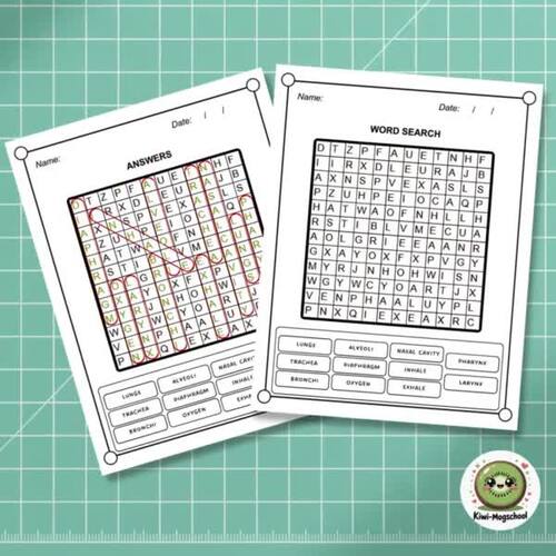 Human Respiratory System Anatomy Labeling | Lungs & Gas Exchange (No Prep)