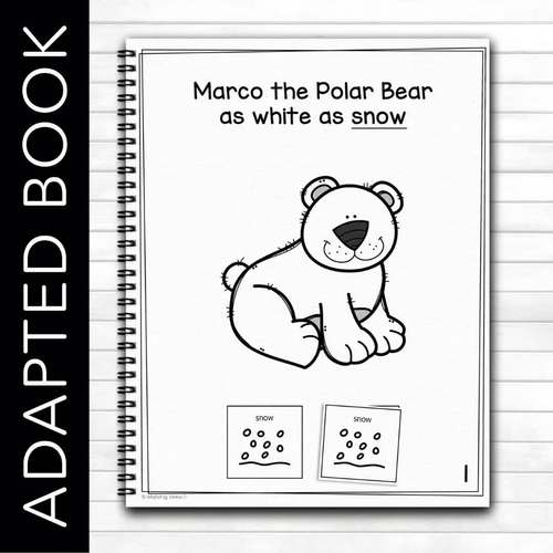 Polar Bear Adapted Book & File Folder Games | Colors Shapes Matching