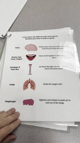 Stuttering: Speech Machine Anatomy by Rowans Speech Room | TPT