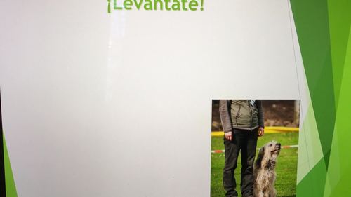 Informal Commands in Spanish Introductory Lesson (distance learning ...