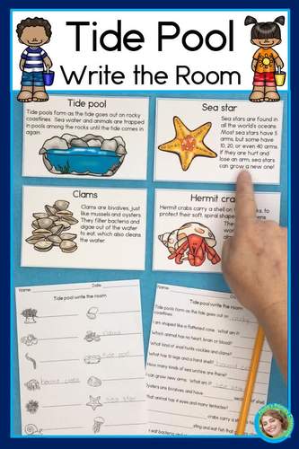 Tide Pools Write the Room, Matching Games, and Reading Comprehension