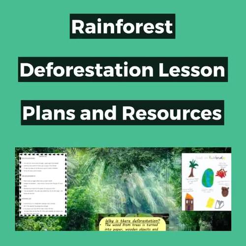 Rainforest Deforestation Lesson Plans and Resources by The Ginger Teacher