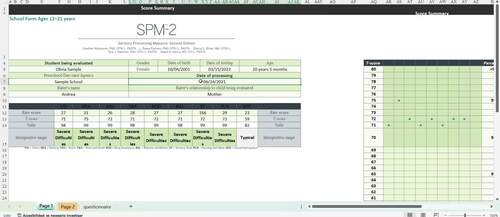 SPM-2 School Form Ages 12–21 | Automated Excel Scoring, T-Scores ...