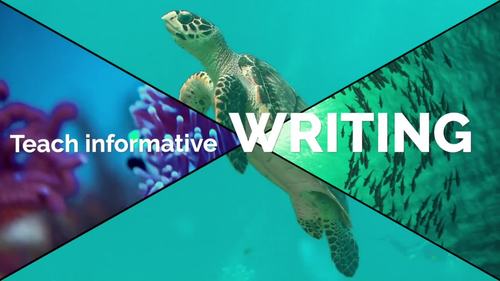 Marine Ocean Animal Research Project - Informational Writing Graphic ...