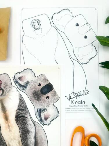BUNDLE | Koala | Printable Paper Craft Templates | Koalas | Crafts