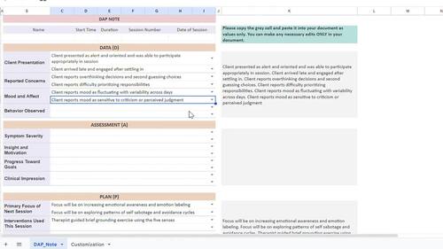 DAP Notes Generator Professional Progress Notes Template Insurance ...