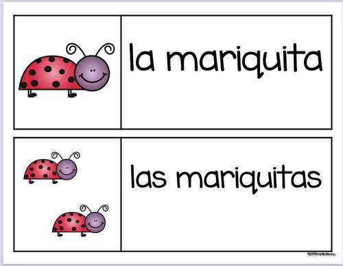 Comprensión de lectura. Insectos: la mariquita. by Calloway's Corner