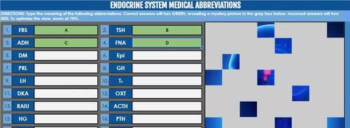 Endocrine System Medical Abbreviations Digital and Print Activity