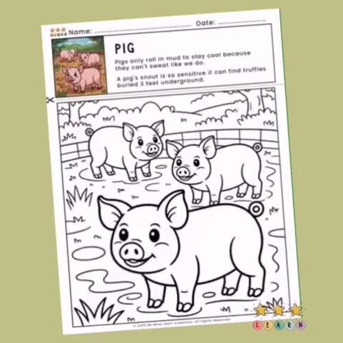 Farm Coloring Pages with Fun Facts & Quiz | Science & Reading | Grades 1–3