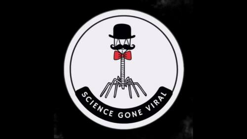 Let's Build a Bacteriophage Virus Model! by Science Gone Viral | TPT