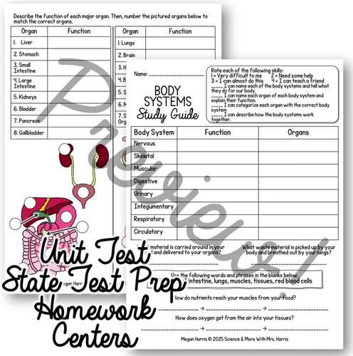 Human Body Systems Review Study Guide (Print & Digital) | TPT